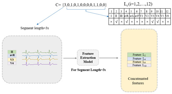 Bioengineering | Free Full-Text | Optimized Solutions of ...