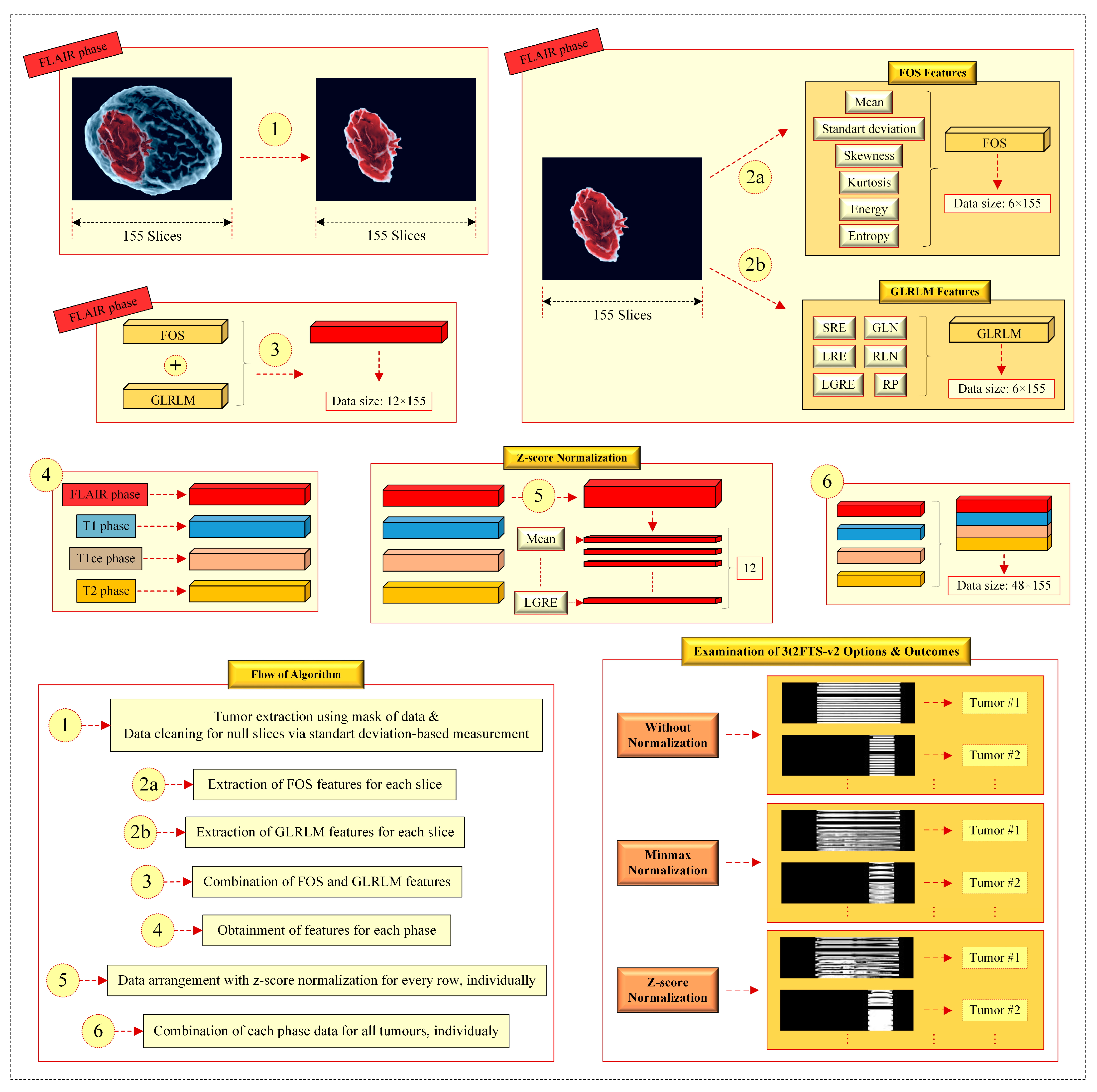 Bioengineering | Free Full-Text | A New Breakpoint to Classify 3D ... Bioengineering | Free Full-Text | A New Breakpoint to Classify 3D ...