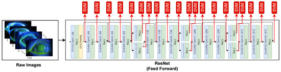 Detection of Corneal Ulcer Using a Genetic Algorithm-Based Image Selection and Residual Neural ...