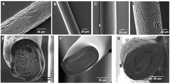 Evaluation of Polymer-Coated Carbon Nanotube Flexible Microelectrodes ...