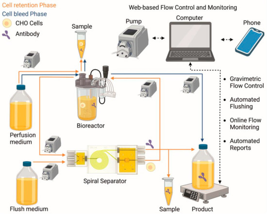Establishment of a Perfusion Process with Antibody-Producing CHO Cells Using a 3D-Printed ...