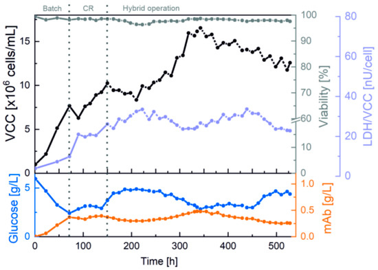 Establishment of a Perfusion Process with Antibody-Producing CHO Cells ...