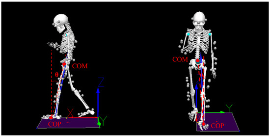 Effects of Mobile Phone Use on Gait and Balance Control in Young Adults ...