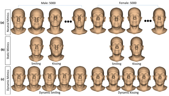 Novel Baseline Facial Muscle Database Using Statistical Shape Modeling and In Silico Trials ...