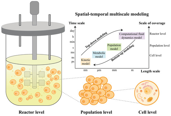 From Spatial-Temporal Multiscale Modeling to Application: Bridging the ...
