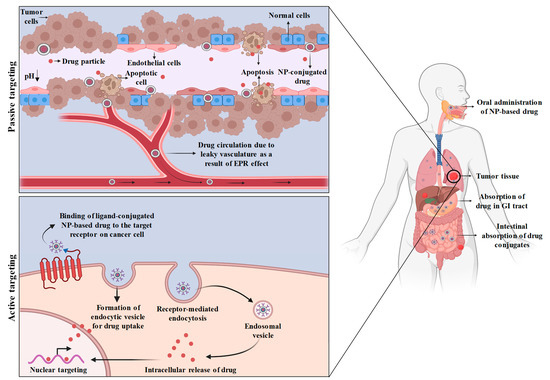 Recent Advances in Nanomaterials-Based Targeted Drug Delivery for ...