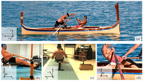 The Kinematics of Fixed-Seat Rowing: A Structured Synthesis
