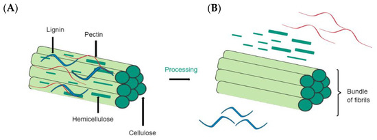 Bioengineering | Free Full-Text | Plant Fibers as Composite ...