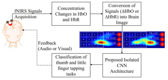 An Isolated CNN Architecture for Classification of Finger-Tapping Tasks Using Initial Dip Images ...