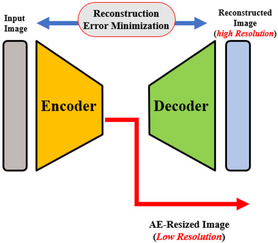 Multi-Stage Classification of Retinal OCT Using Multi-Scale Ensemble Deep Architecture