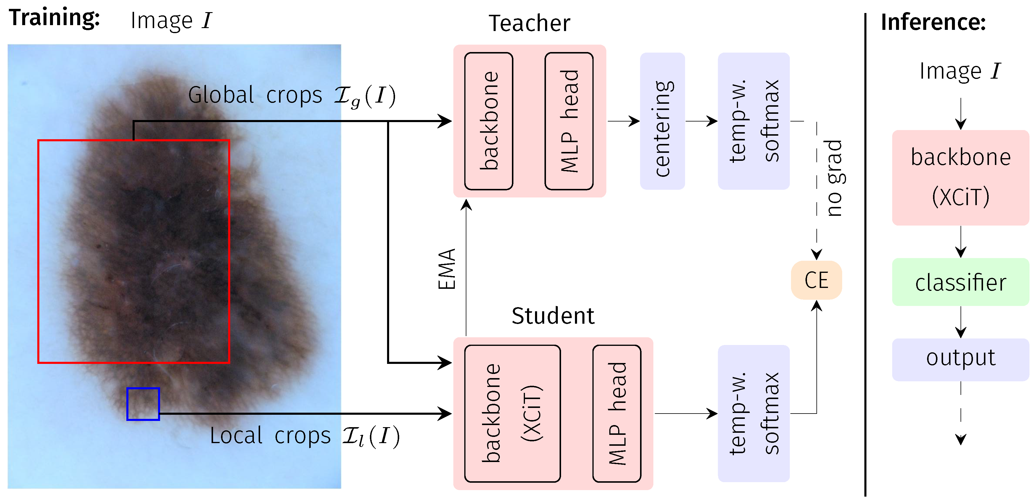 Bioengineering | Free Full-Text | Self-Supervision for Medical Image ...