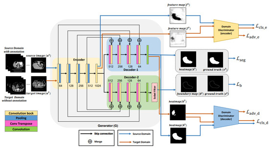 Bioengineering | Free Full-Text | A Boundary-Enhanced Liver ...