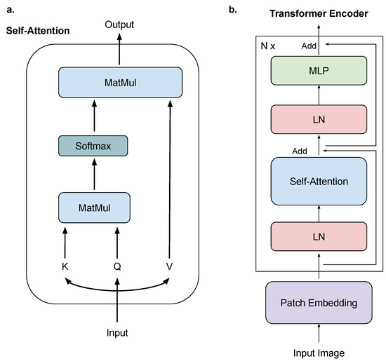 Bioengineering | Free Full-Text | Self-Supervised Learning Application ...