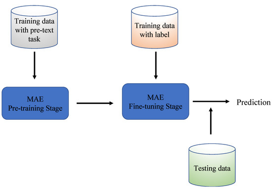 Self-Supervised Learning Application on COVID-19 Chest X-ray Image ...