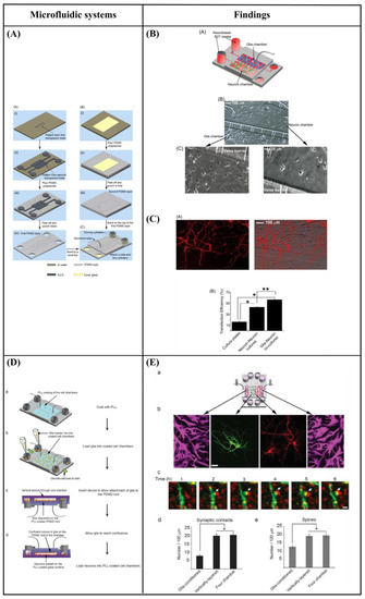 Microfluidic Systems for Neural Cell Studies