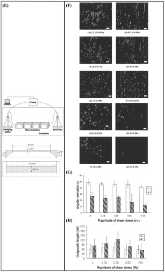 Microfluidic Systems for Neural Cell Studies