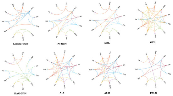 Bioengineering | Free Full-Text | Learning Causal Biological Networks with Parallel Ant Colony ...