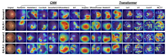 Bioengineering | Free Full-Text | MIL-CT: Multiple Instance Learning via a Cross-Scale ...