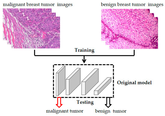 Adversarial Attack and Defense in Breast Cancer Deep Learning Systems Adversarial Attack and Defense in Breast Cancer Deep Learning Systems