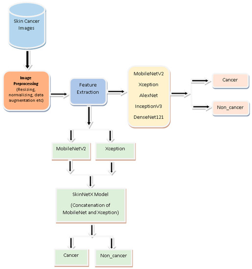 Bioengineering | Free Full-Text | Enhancing Skin Cancer Detection and ...
