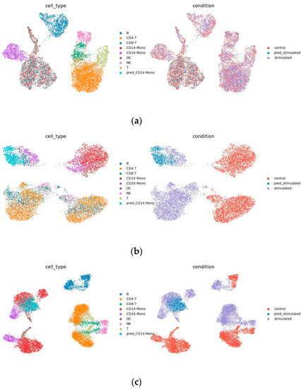 Homogeneous Space Construction and Projection for Single-Cell ...