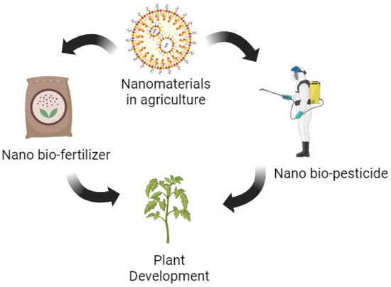Nano-Biofertilizer Formulations for Agriculture: A Systematic Review on ...