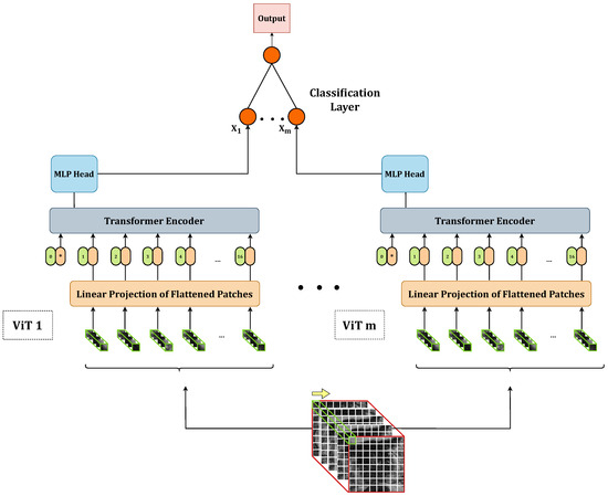 3D-Vision-Transformer Stacking Ensemble for Assessing Prostate Cancer ...