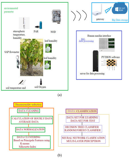 Bioengineering | Free Full-Text | Intelligent Grapevine Disease ...