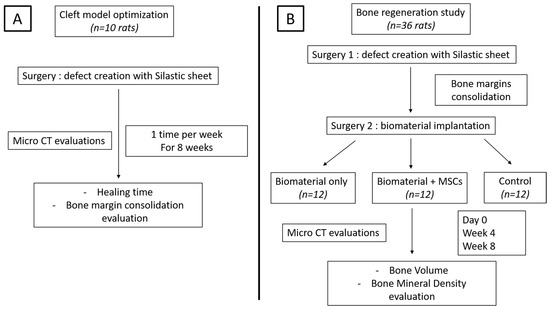 Evaluation of a Granular Bone Substitute for Bone Regeneration Using an ...