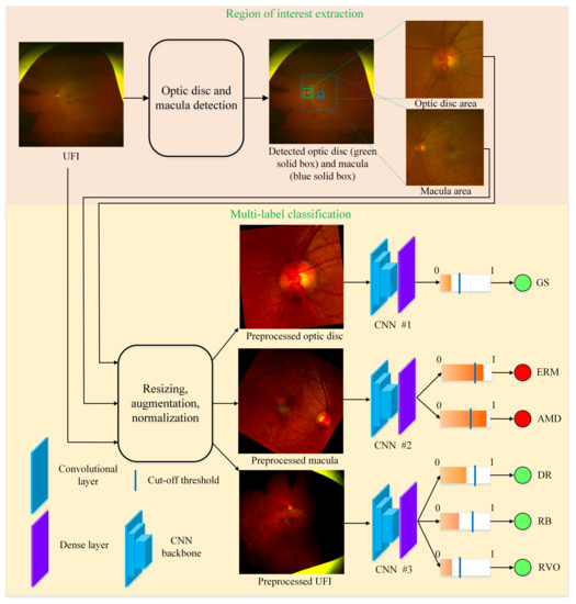 Discriminative-Region Multi-Label Classification of Ultra-Widefield Fundus Images