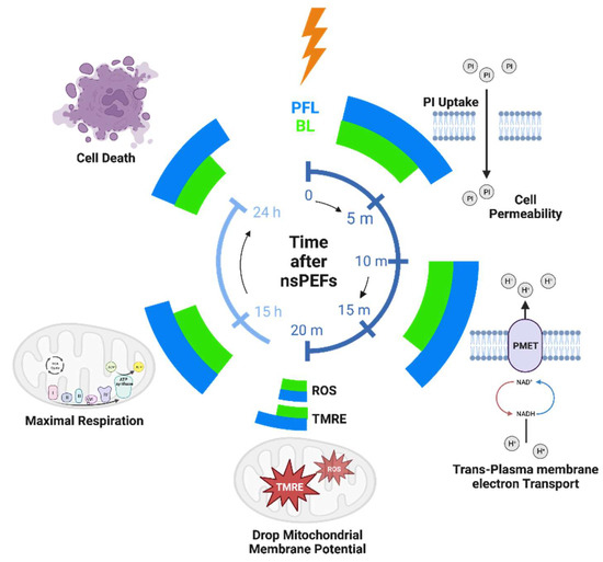 Bioengineering | Free Full-Text | Ultra-Low Intensity Post-Pulse Affects Cellular Responses ...