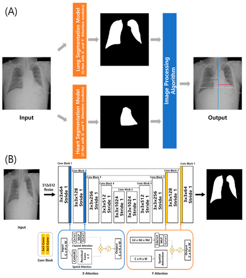Bioengineering | Free Full-Text | The Performance of a Deep Learning ...