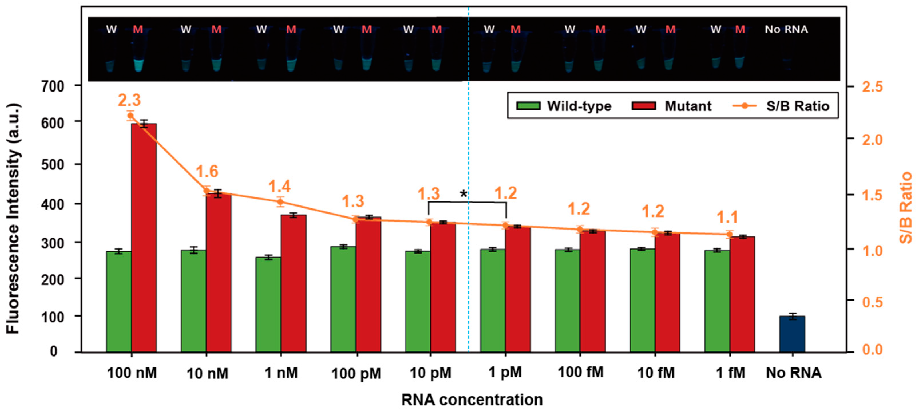 Fluorometric Detection of SARS-CoV-2 Single-Nucleotide Variant L452R ...