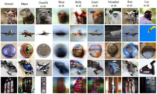 Dual-Guided Brain Diffusion Model: Natural Image Reconstruction from ...