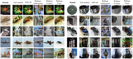 Dual-Guided Brain Diffusion Model: Natural Image Reconstruction from ...