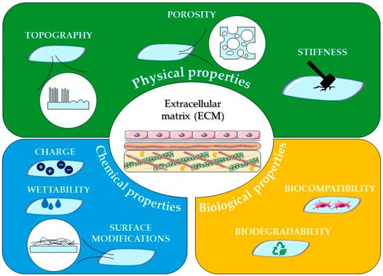 Cell-Tissue Interaction: The Biomimetic Approach to Design Tissue ...