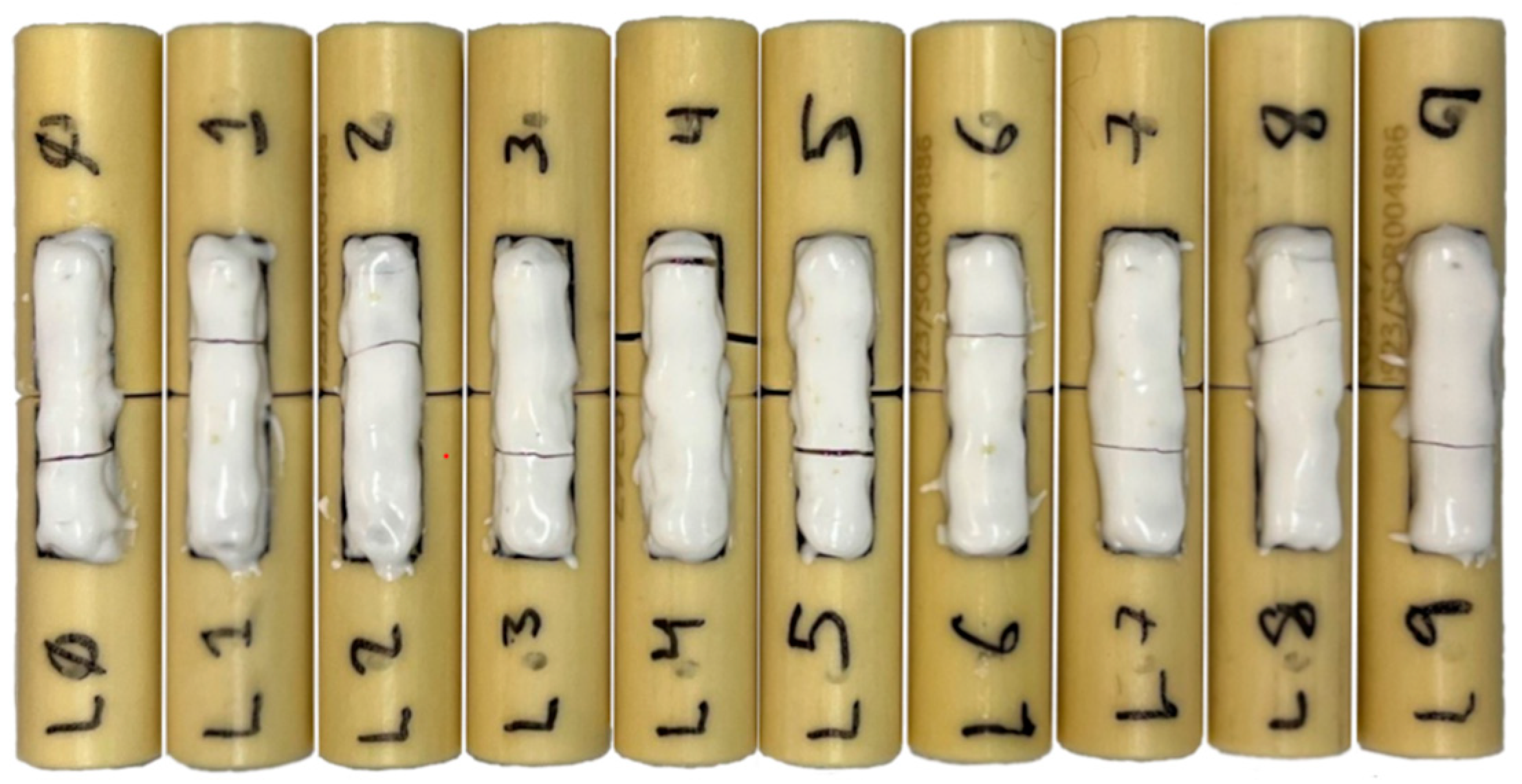 Biomechanical Variability and Usability of a Novel Customizable ...