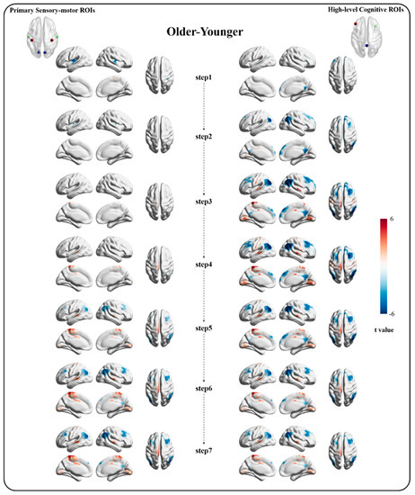 Atypical Hierarchical Connectivity Revealed by Stepwise Functional ...