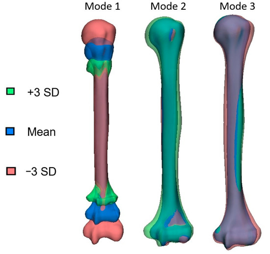 Prediction of the Proximal Humerus Morphology Based on a Statistical ...