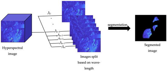 Bioengineering | Free Full-Text | Pediatric Brain Tissue Segmentation ...