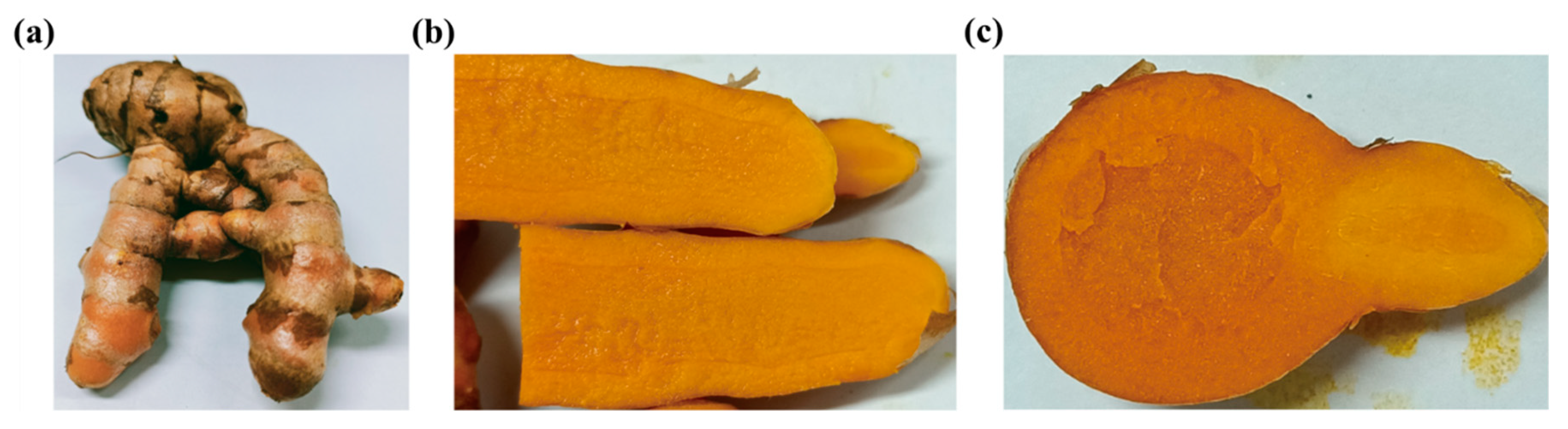 Extraction, Isolation, and Component Analysis of Turmeric-Derived ...