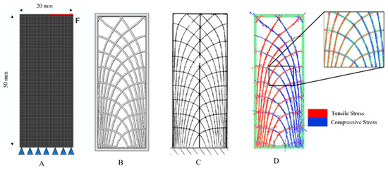 An Analysis of Trabecular Bone Structure Based on Principal Stress ...