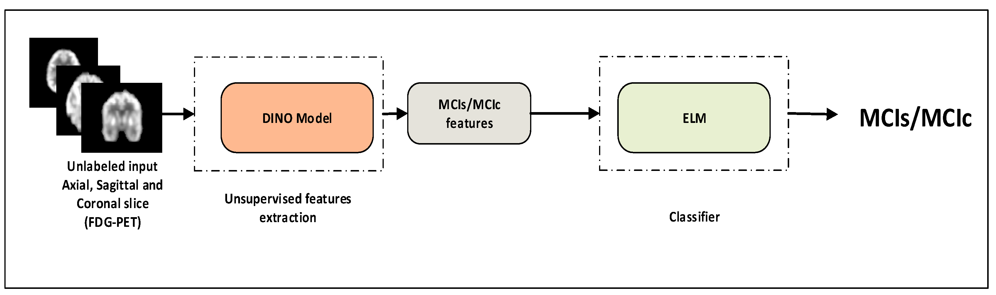 Explainable Vision Transformer with Self-Supervised Learning to Predict ...