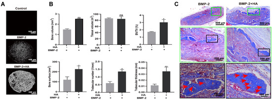 The Paracrine Effect of Hyaluronic Acid-Treated Endothelial Cells ...