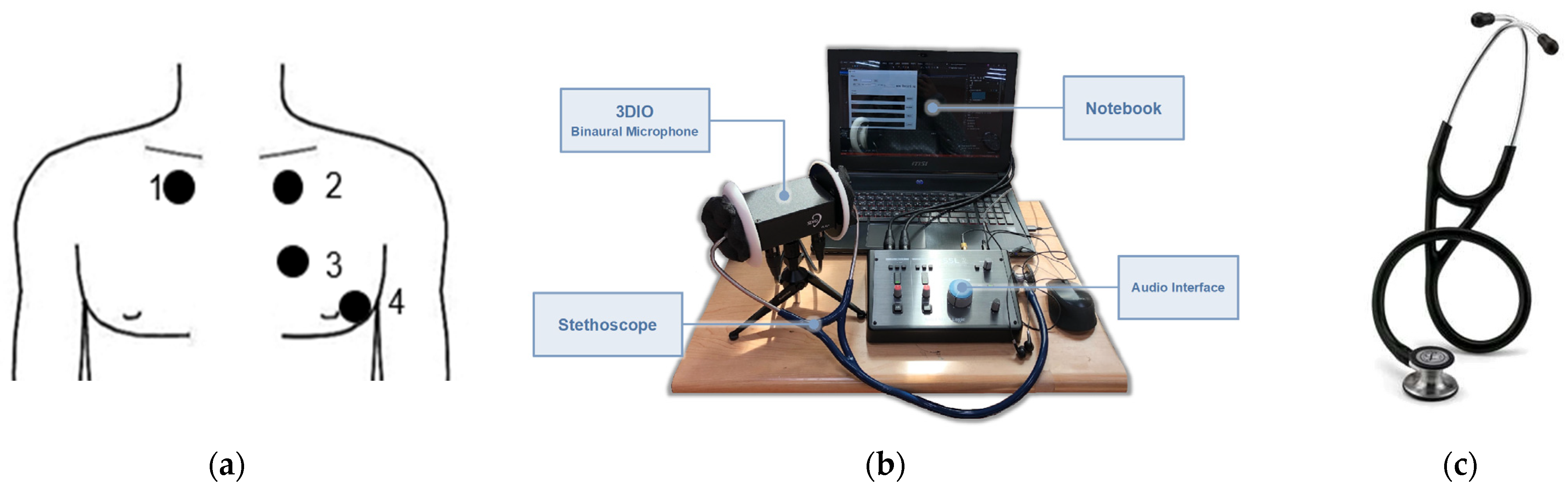 Heart Murmur Classification Using a Capsule Neural Network