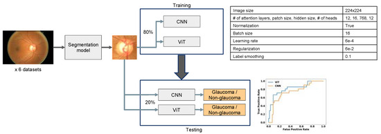 Multi-Dataset Comparison of Vision Transformers and Convolutional Neural Networks for Detecting ...