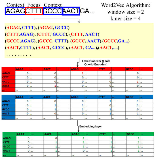 Enhancing Taxonomic Categorization of DNA Sequences with Deep Learning ...