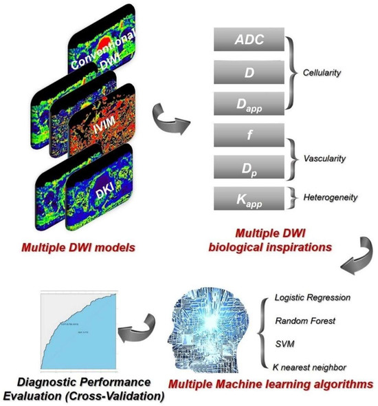 Preoperative Grading of Rectal Cancer with Multiple DWI Models, DWI ...