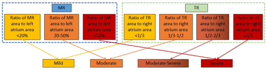 Automatic Segmentation and Assessment of Valvular Regurgitations with ...