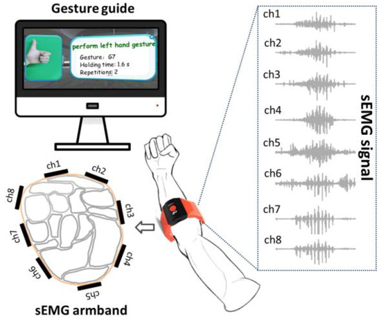 Gesture Classification in Electromyography Signals for Real-Time ...